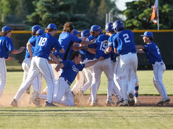Anthony Wayne baseball storms back to beat Springfield in extra innings ...