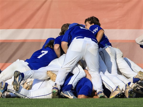 Anthony Wayne baseball advances to state with 3-2 walk-off win over No ...