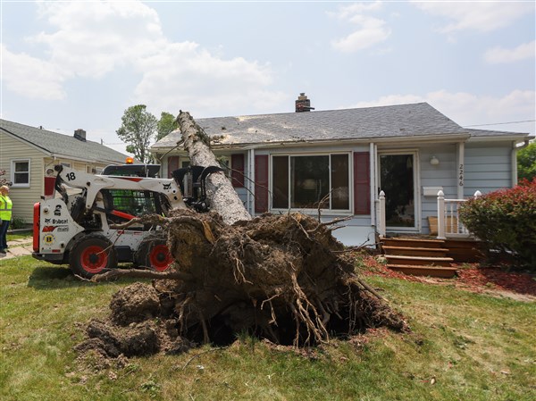 Photo Gallery: Day 2 storm cleanup in Point Place | The Blade