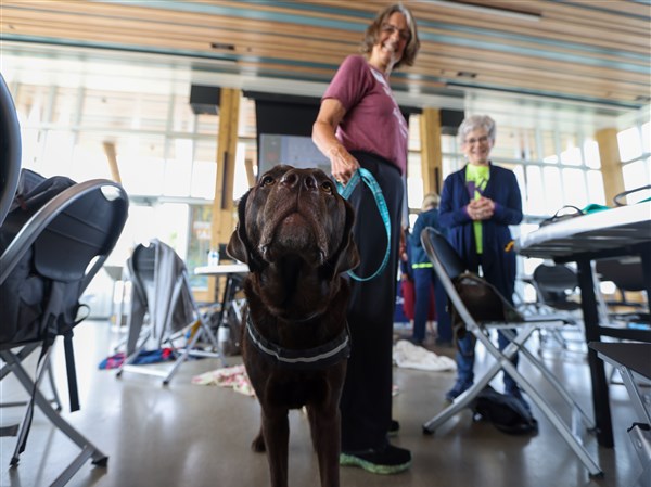 Ability Center hosts annual therapy dog workshop | The Blade