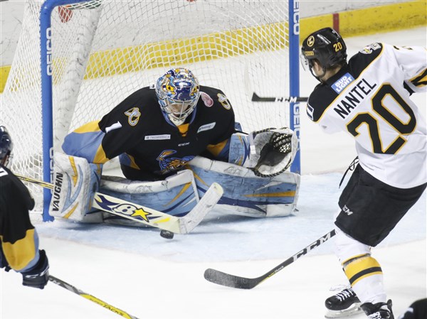 Former Walleye goalie Jeff Lerg to be inducted into Toledo Hockey Hall ...