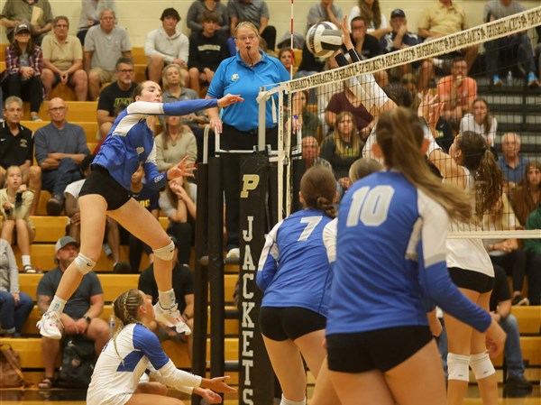 Pike sisters power Anthony Wayne to volleyball win at Perrysburg | The ...