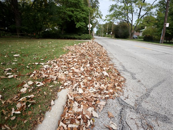 Local municipalities announce annual leaf collection schedules | The Blade