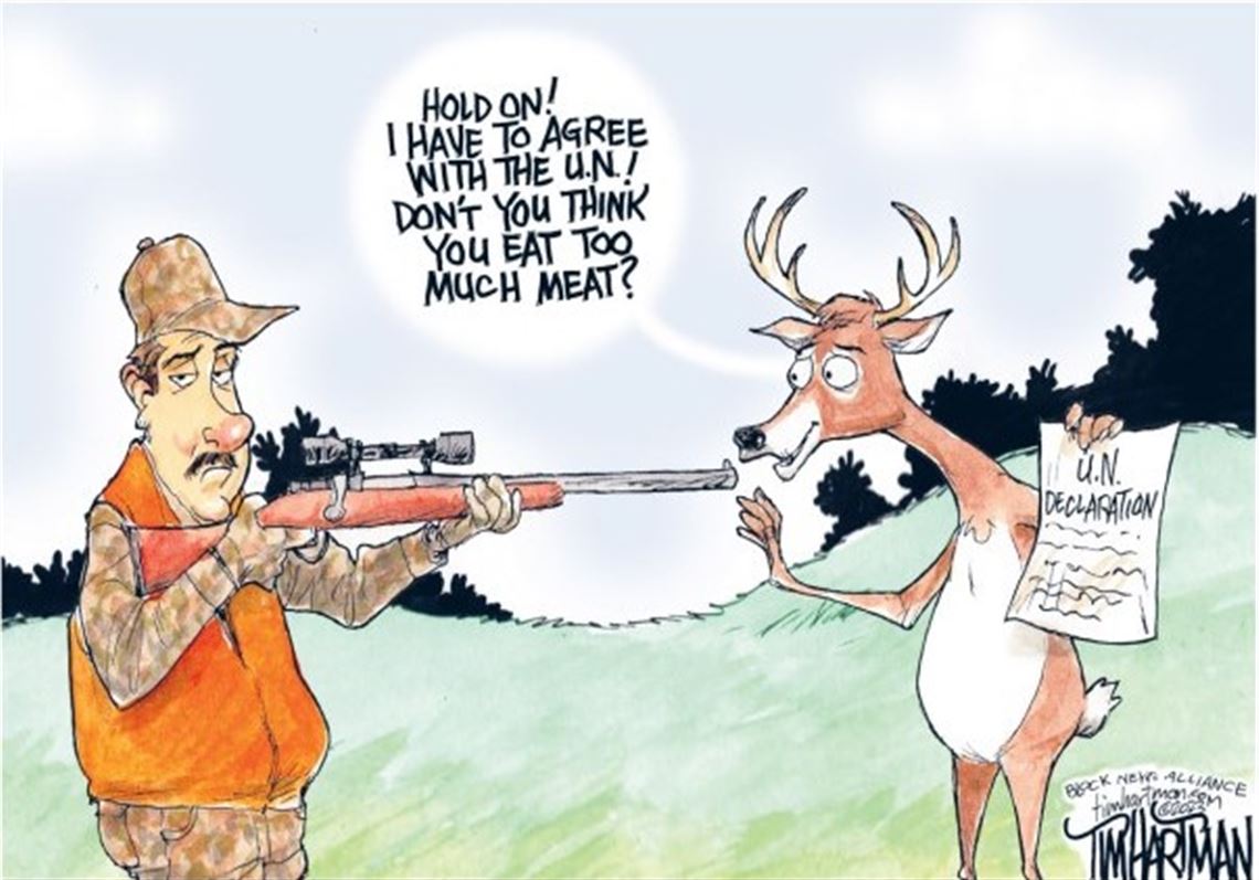 Funny Deer Hunting Cartoons You - Infoupdate.org