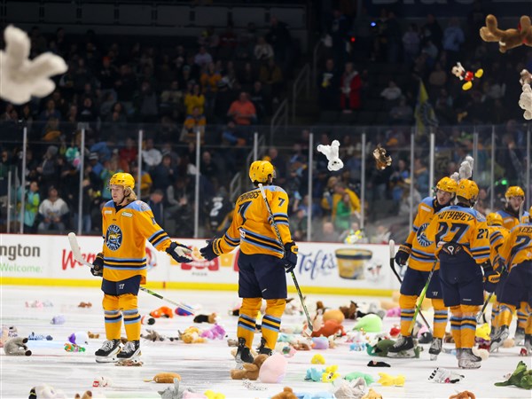 Teddy Bears rain down from stands at Huntington Center in Walleye ...