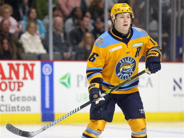 Walleye forward Brandon Hawkins earns spot on ECHL All-Star team | The ...