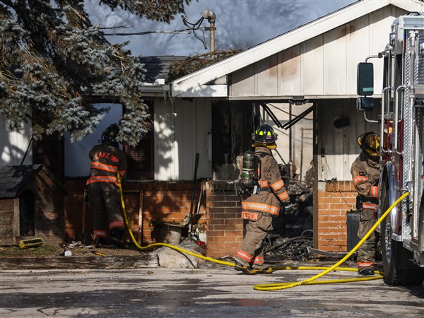 Adults, canines saved during Lake Township dog business fire | The Blade