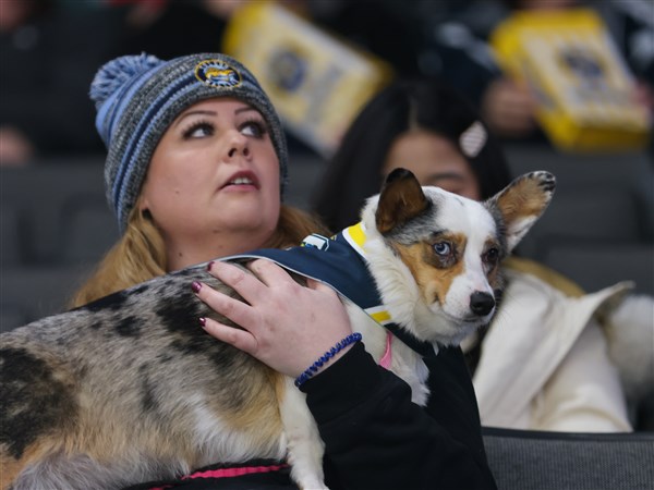 Photo Gallery: Walleye vs Norfolk on Paws and Pucks night | The Blade