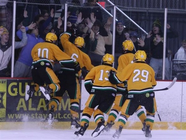 Clay upsets Northview in regional hockey tournament | The Blade
