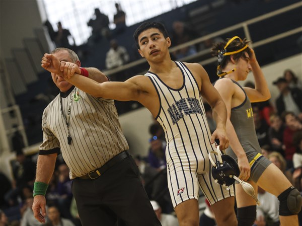 Meet the Toledo area's Division II state wrestling qualifiers for 2024 ...