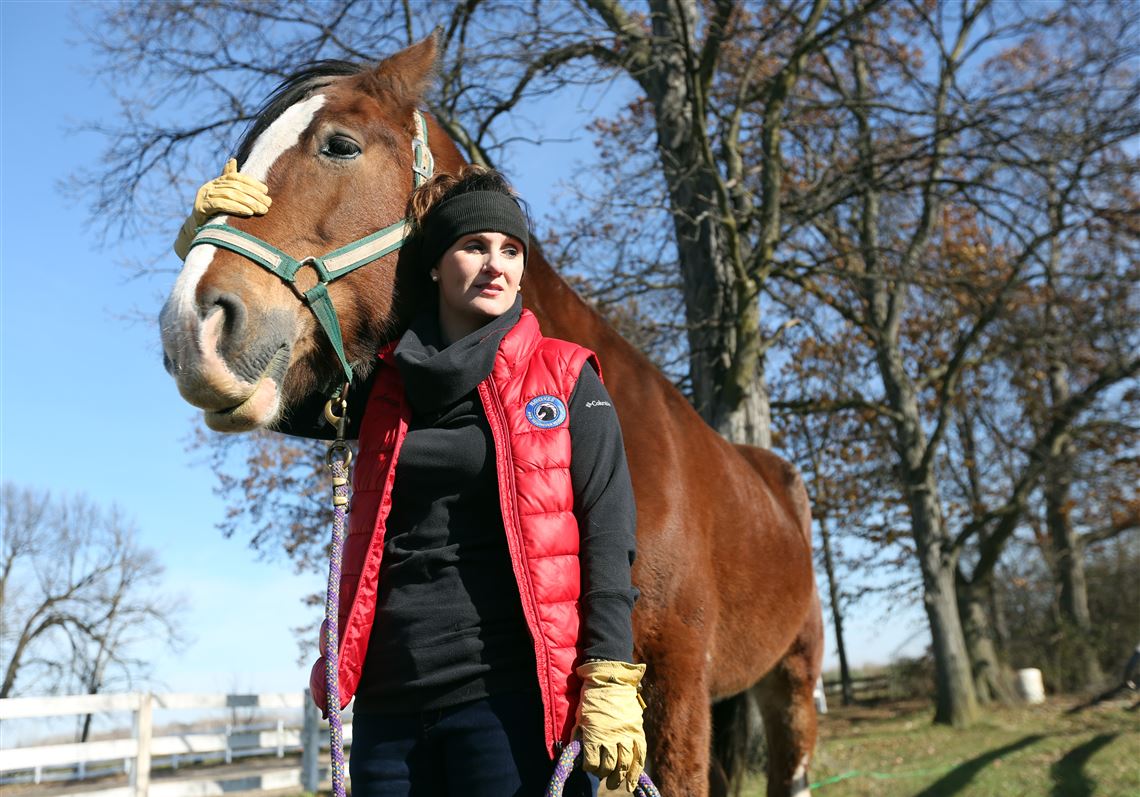 horse tribe documentary