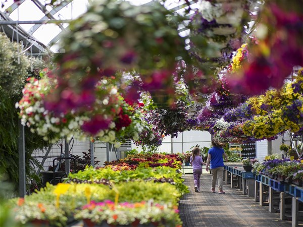 Monnette’s on Reynolds transforms into garden store | The Blade