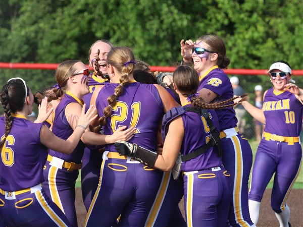 Bryan softball claims first Division II regional title with win over ...