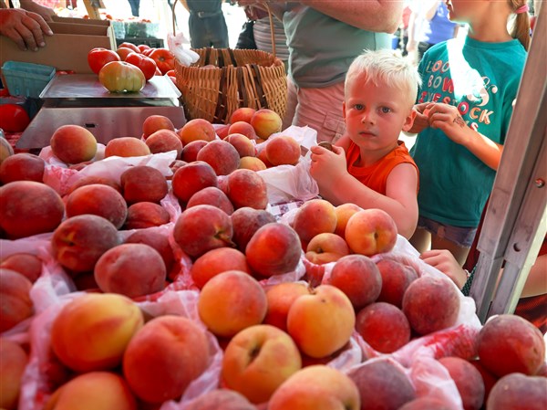Kids learn healthy eating, math by making own farmers market choices ...