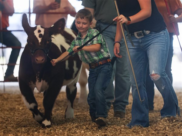 Family af-fair: County fairs promise summer of wholesome entertainment ...
