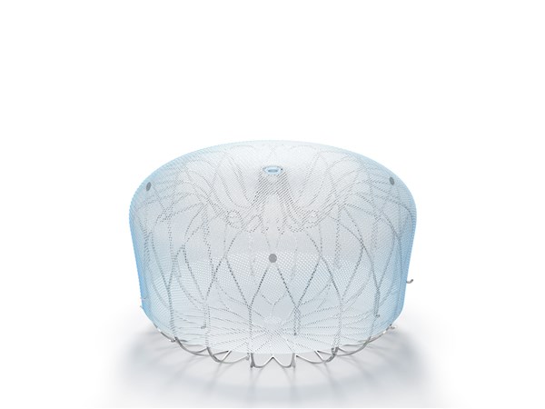 Physicians praise the Watchman device for reducing the risk of stroke ...