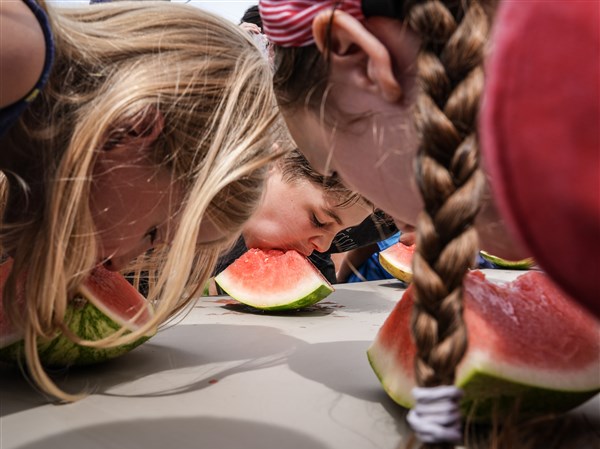 Photo Gallery: Harvard Circle Fourth of July Celebration | The Blade