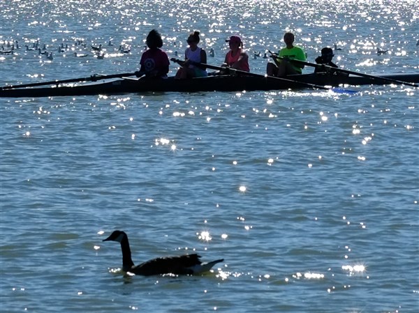 High school rowing coaches see growth opportunity as University of ...