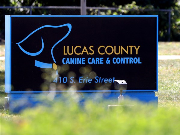 Volunteer program suspended at Lucas County Canine Care & Control | The ...