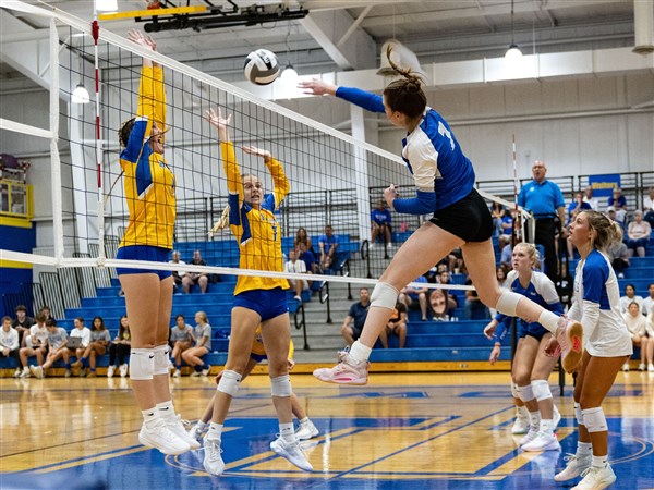 Anthony Wayne pulls away from St. Ursula in matchup of volleyball ...