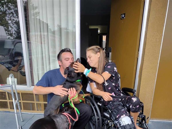 Family, dogs back home after surviving accident on turnpike | The Blade