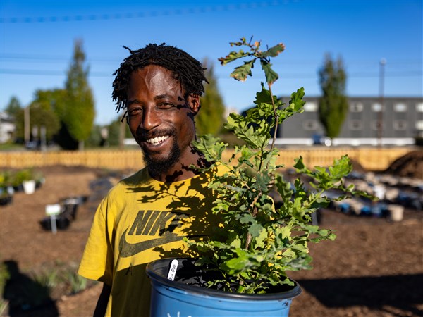 Tree Toledo nursery aims to help residents green their urban spaces ...