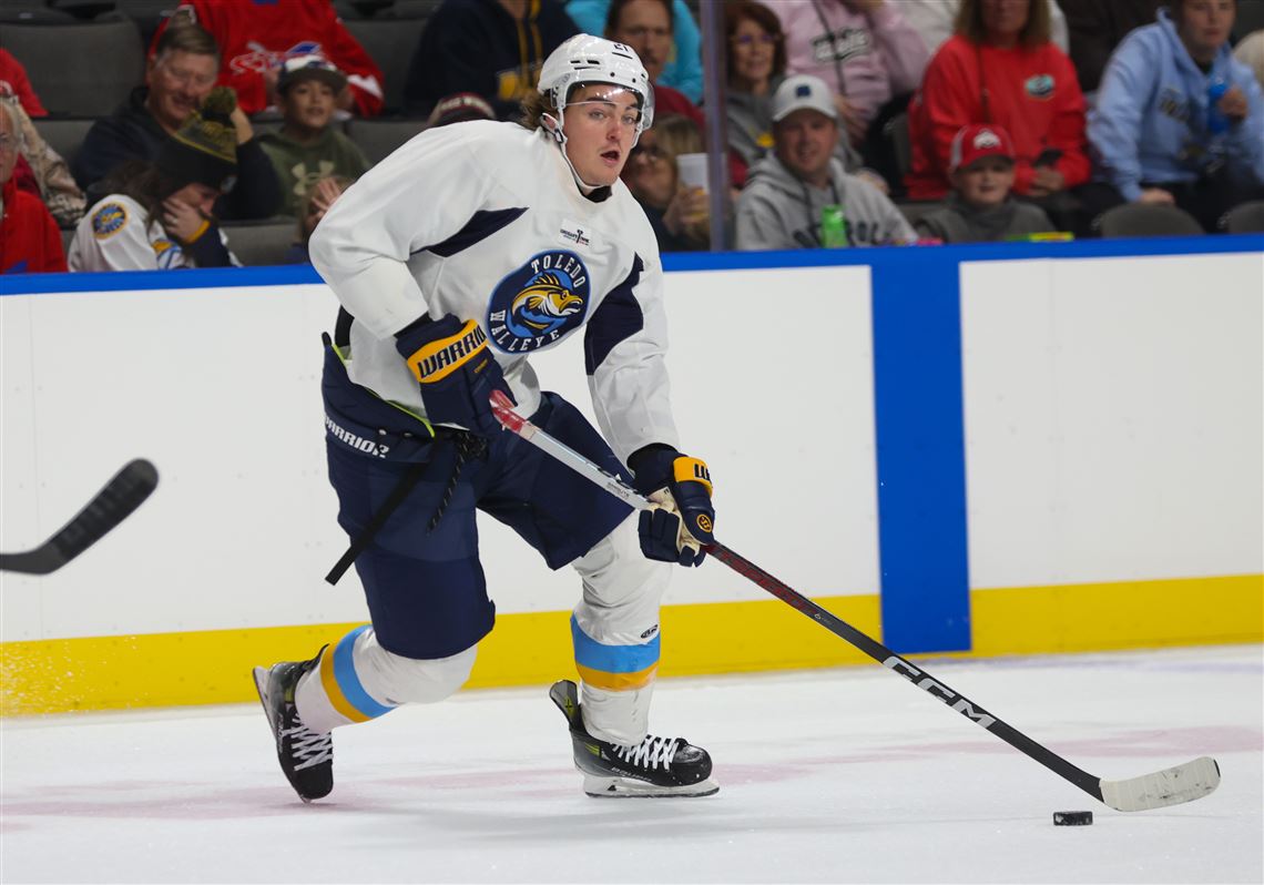 Toledo Walleye Games What A Great Year It's Been. Happy New Year's