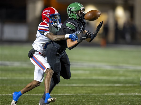 St. Francis football’s turnaround season ends in 2nd round at Medina ...