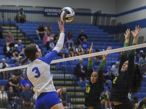 Bedford trio, Leah Pike named to national all-region team | The Blade