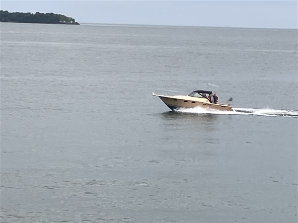 Remaining would-be intervenors make final plea to Judge Carr for ...