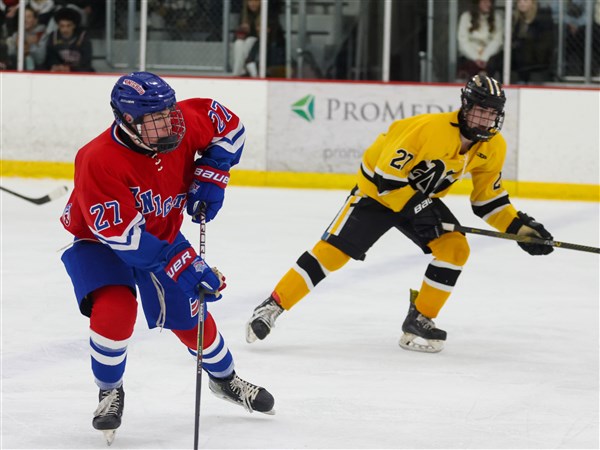 Photo Gallery: St. Francis vs. Northview hockey | The Blade
