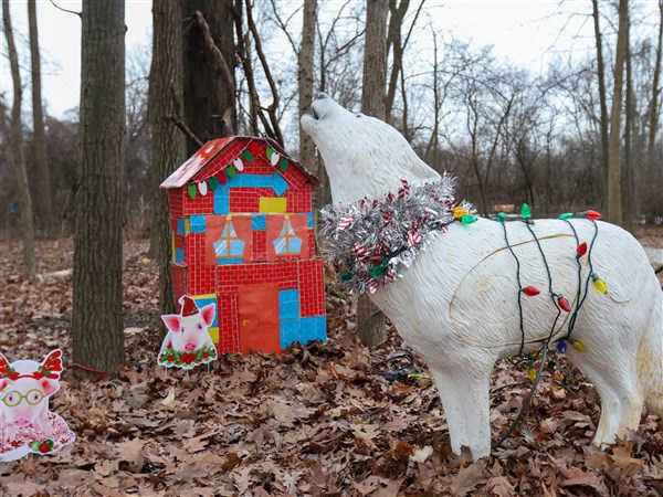 January joy: Wild Lights weekend extends expiration on holiday cheer ...