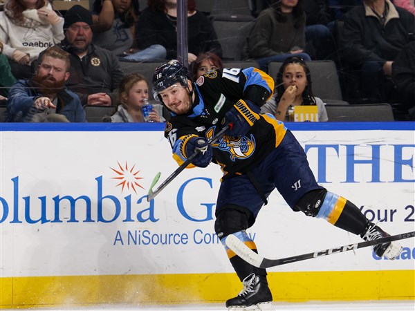 Walleye forward Brandon Hawkins earns ECHL player of the month honor ...