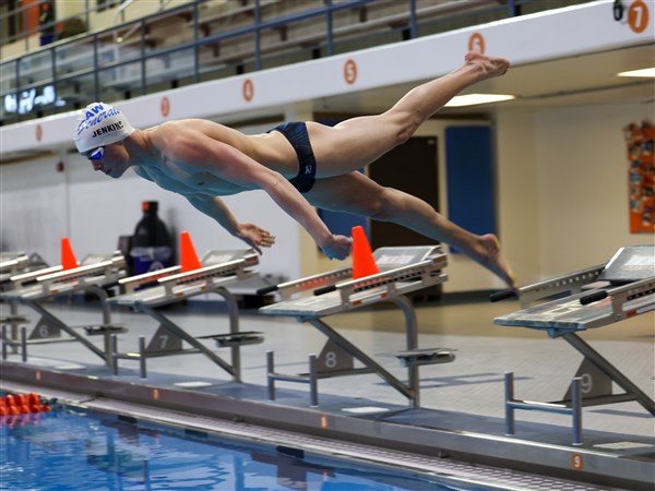 Injury-free Jenkins now thriving in pool for Anthony Wayne | The Blade