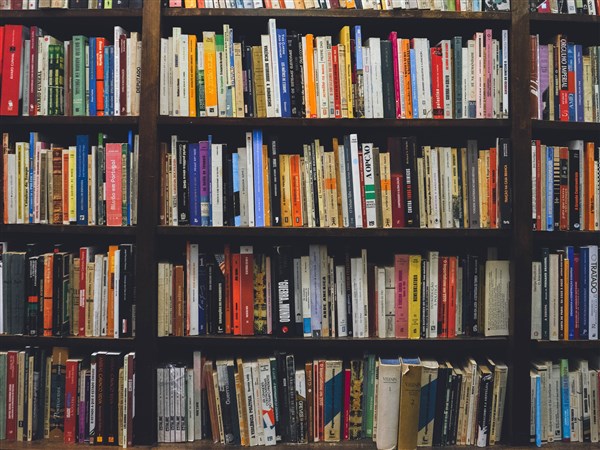 Pemberville library's Community Reads program features ‘The Anxious ...