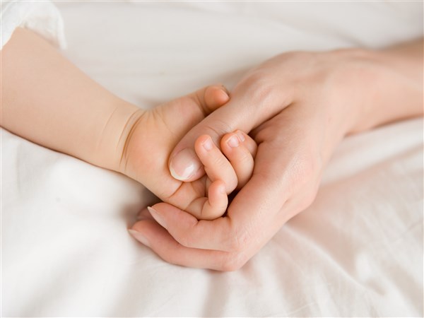 Daily Log: 4/12 | The Blade