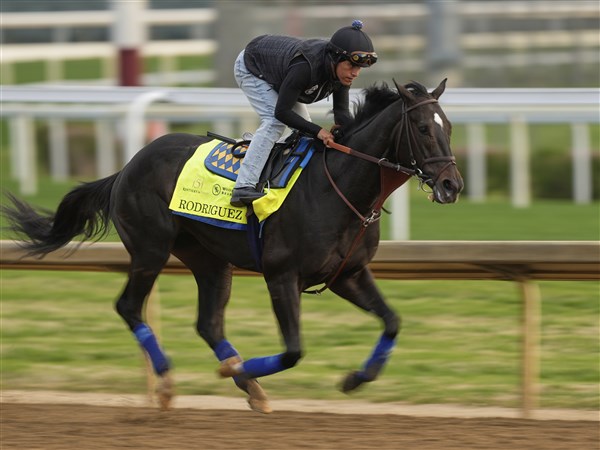 Rodriguez, Bob Baffert's top Kentucky Derby contender, scratches | The ...