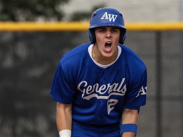 Anthony Wayne baseball advances on sacrifice fly | The Blade