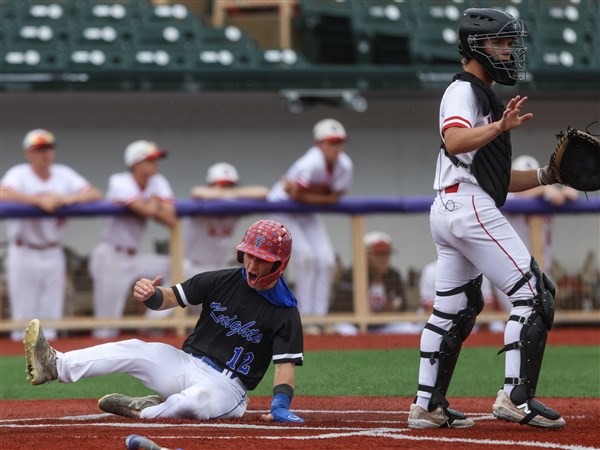 Photo Gallery: St. Francis vs. Wapakoneta Division III regional ...