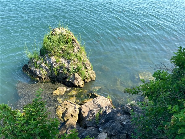 To the editor: Nutrient pollution leads way | The Blade