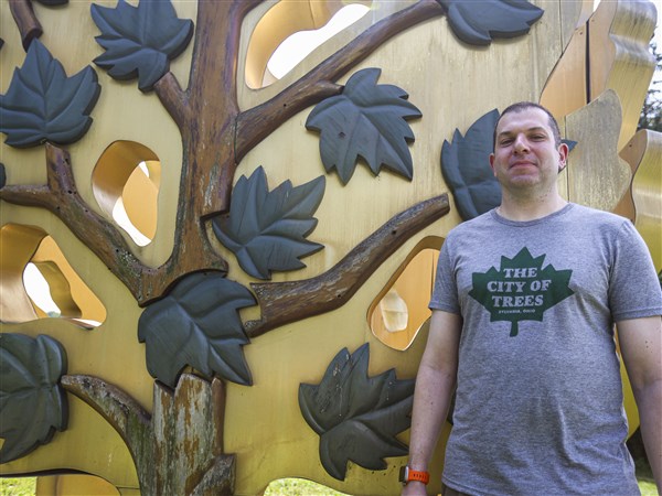 Online petition launched to save Sylvania's ‘Triad of Trees’ | The Blade