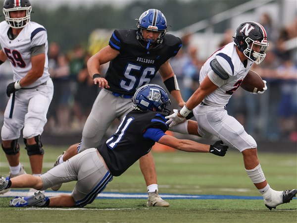 Napoleon football falls short against Defiance | The Blade