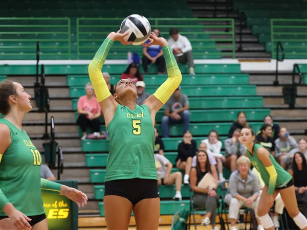 2025 high school volleyball season stat leaders for week of Sept. 28 ...