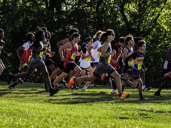 High school boys cross country: Rogers, Bowsher's Retzloff win big at City League meet | The Blade