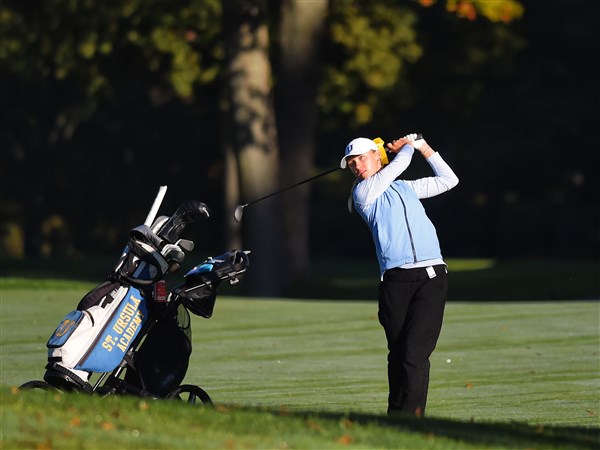 Anthony Wayne's Stanton All-Ohio, St. Ursula 6th in OHSAA D-I state ...