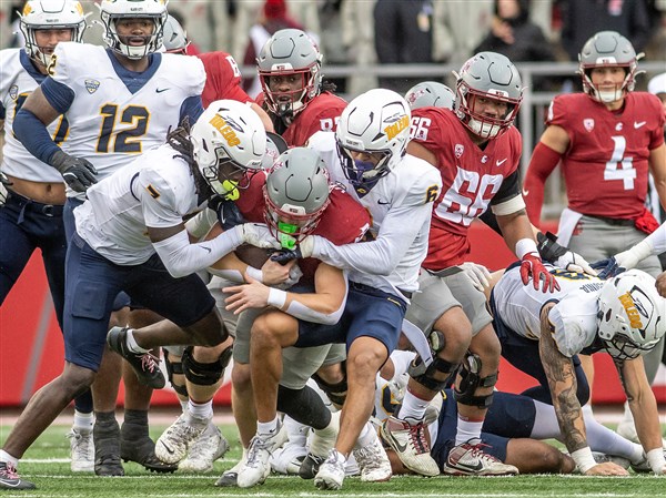 Video box score: Washington State 28, Toledo 7 | The Blade