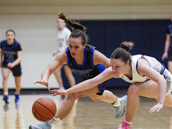 Anthony Wayne girls basketball downs Napoleon in battle of preseason ...
