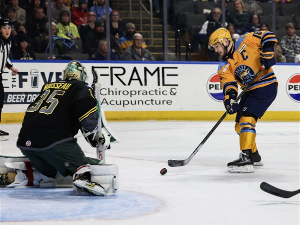 Briggs: ECHL's snub of Walleye star and league MVP Brandon Hawkins is ...