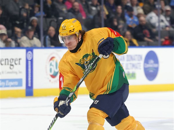 Photo Gallery: Walleye vs. Bloomington | The Blade