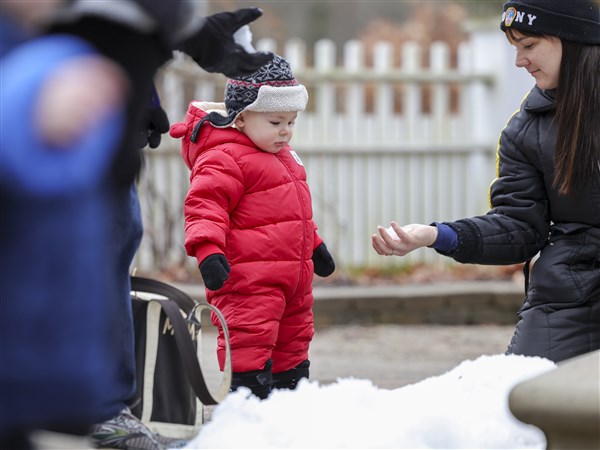 Photo gallery: Toddler Trails at Wildwood Preserve Metropark | The Blade